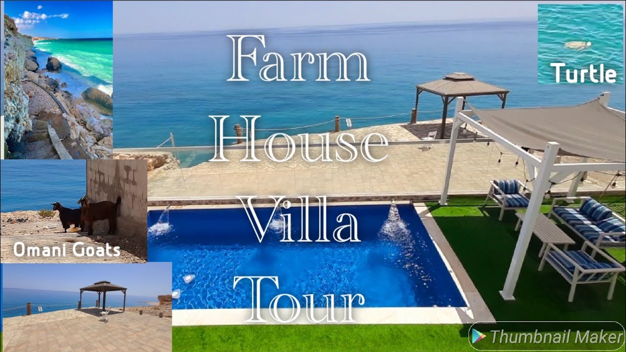 Farm House Villa Tour | Last Day of Tiwi | Turtle 🐢 | Goats of Oman ...