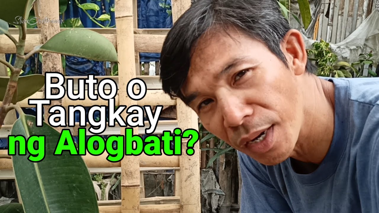 Alogbati na may Bato - YouTube