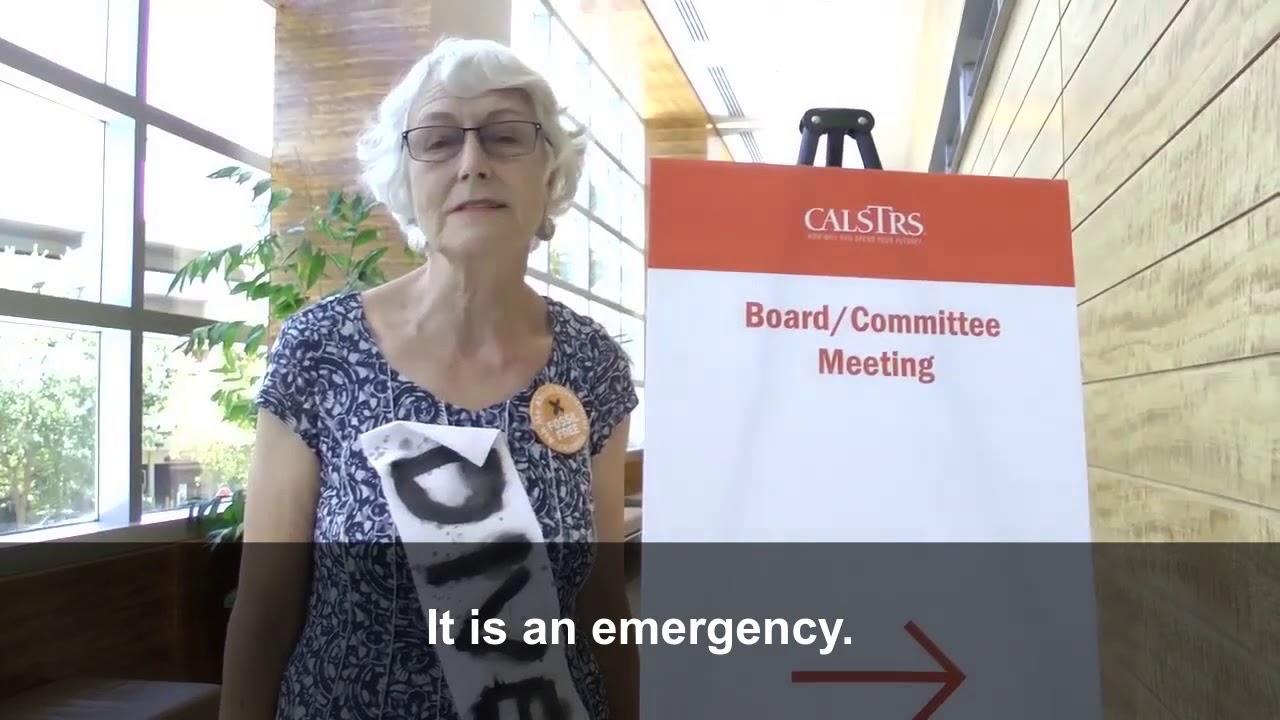 "Why I Am Here?" - Ann Rothschild, teacher, grandmother, concerned ...