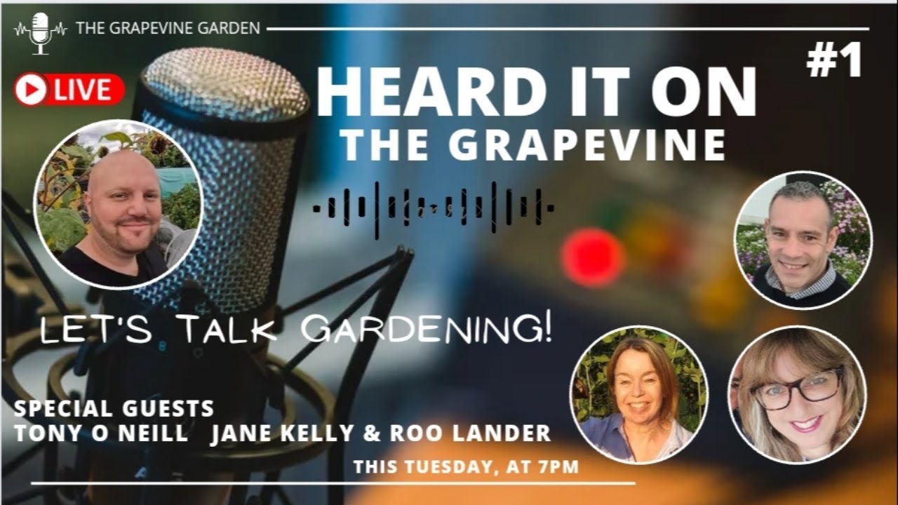 Heard it on the Grapevine #1 - YouTube