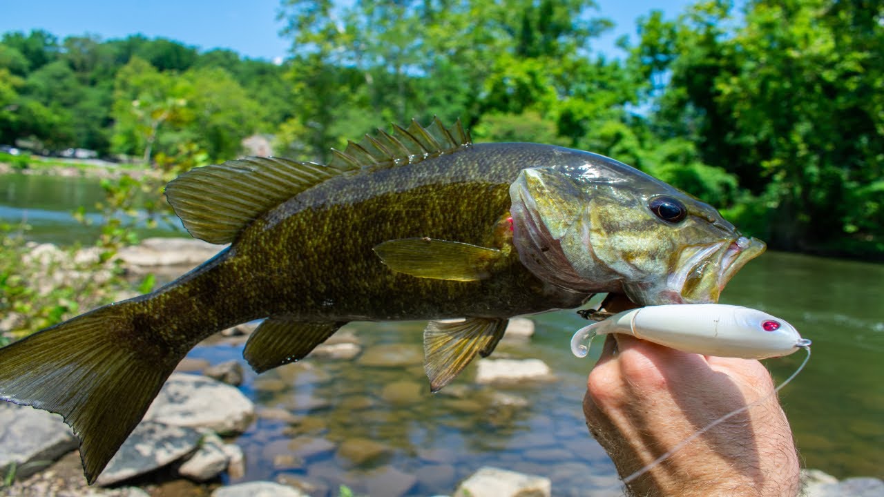 Brandywine Creek State Park smallmouth bass fishing - State Parks