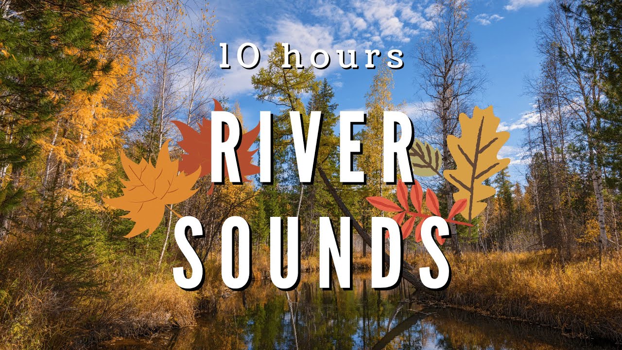 Beauitful Autumn Scenery | Lake and Bird Sounds | Relaxing Nature ...