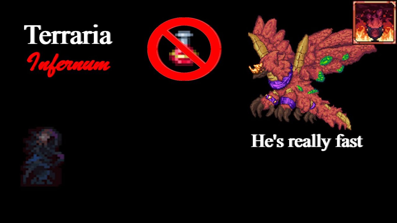 Defeating Yharon! | Terraria Calamity Infernum | no healing potions ...