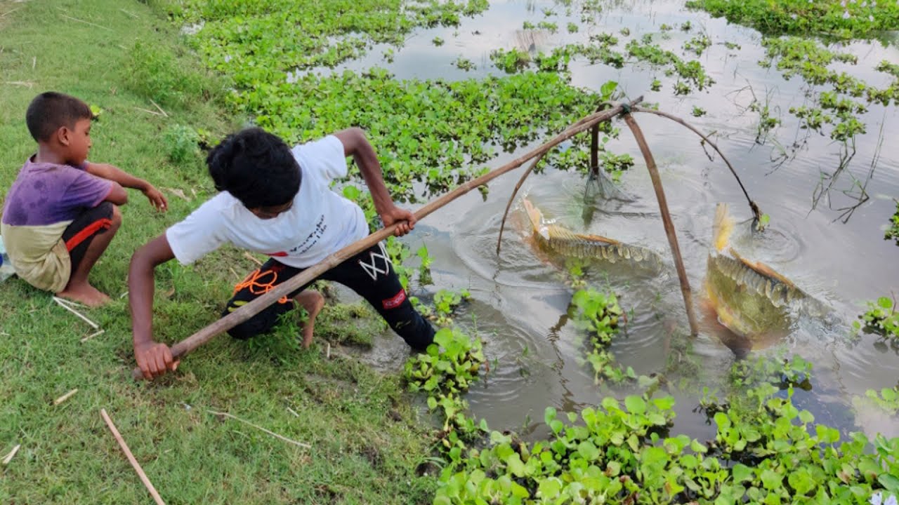 Traditional net fishing video - Professional fish hunter catching fish ...