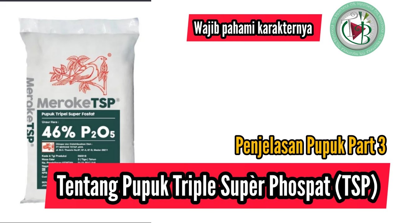 Penjelasan Pupuk Part 3 - Tentang Pupuk Triple Supèr Phospat (TSP ...