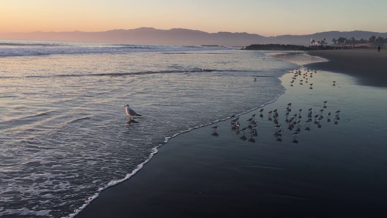 NILA DEVI - The Jeweled Path to Freedom - YouTube