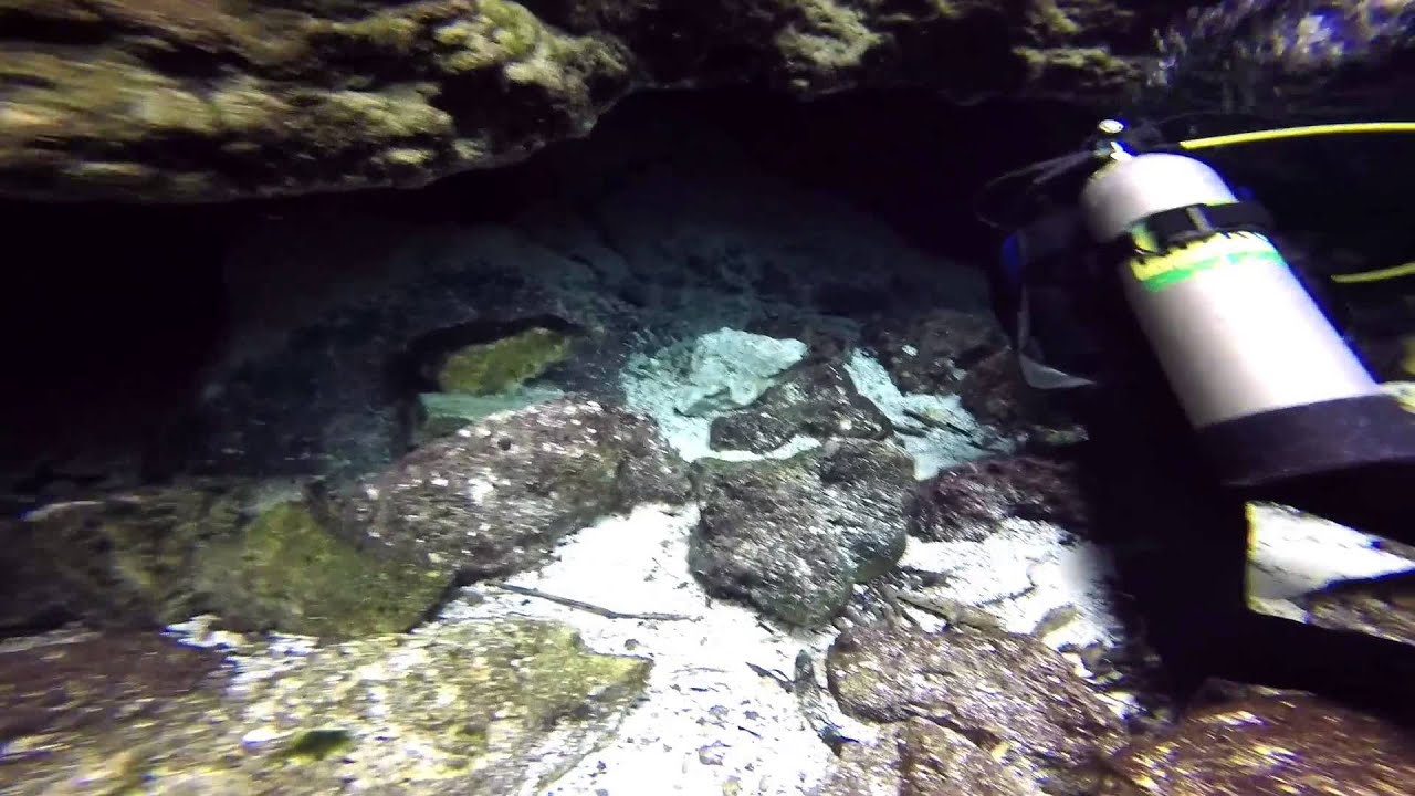 Ginnie Springs Devils Eye Cavern Dive - YouTube