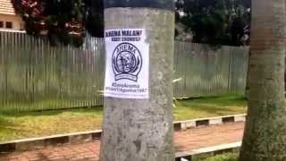 Anti Arema Cronus