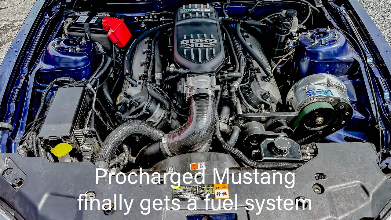 Procharger D1X Mustang gets a Sai Li Triple pump fuel system - YouTube