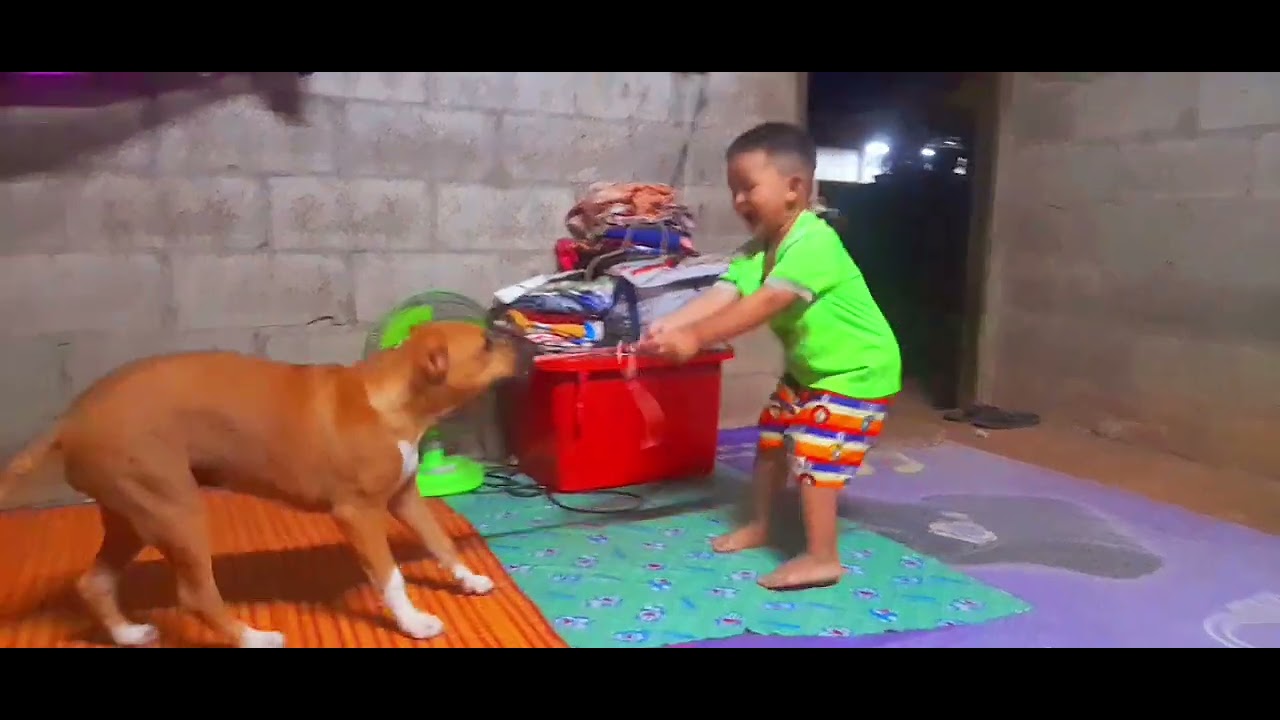 Dog and man race - YouTube