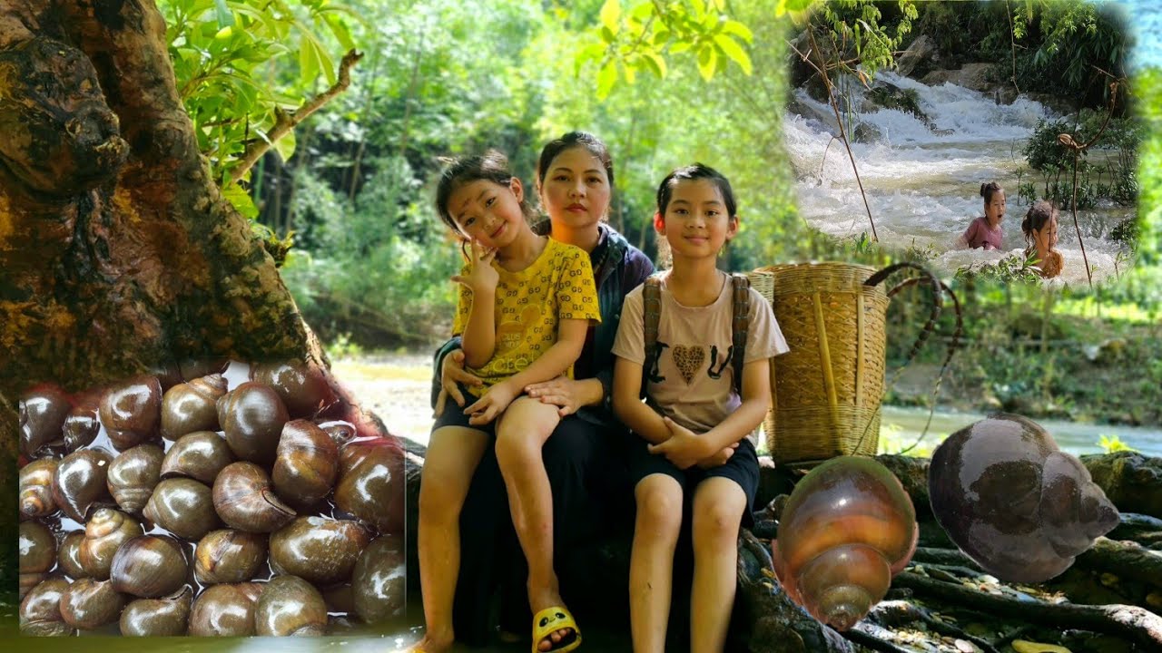 Go with your daughter to catch snails at the waterfall. Enjoy delicious ...