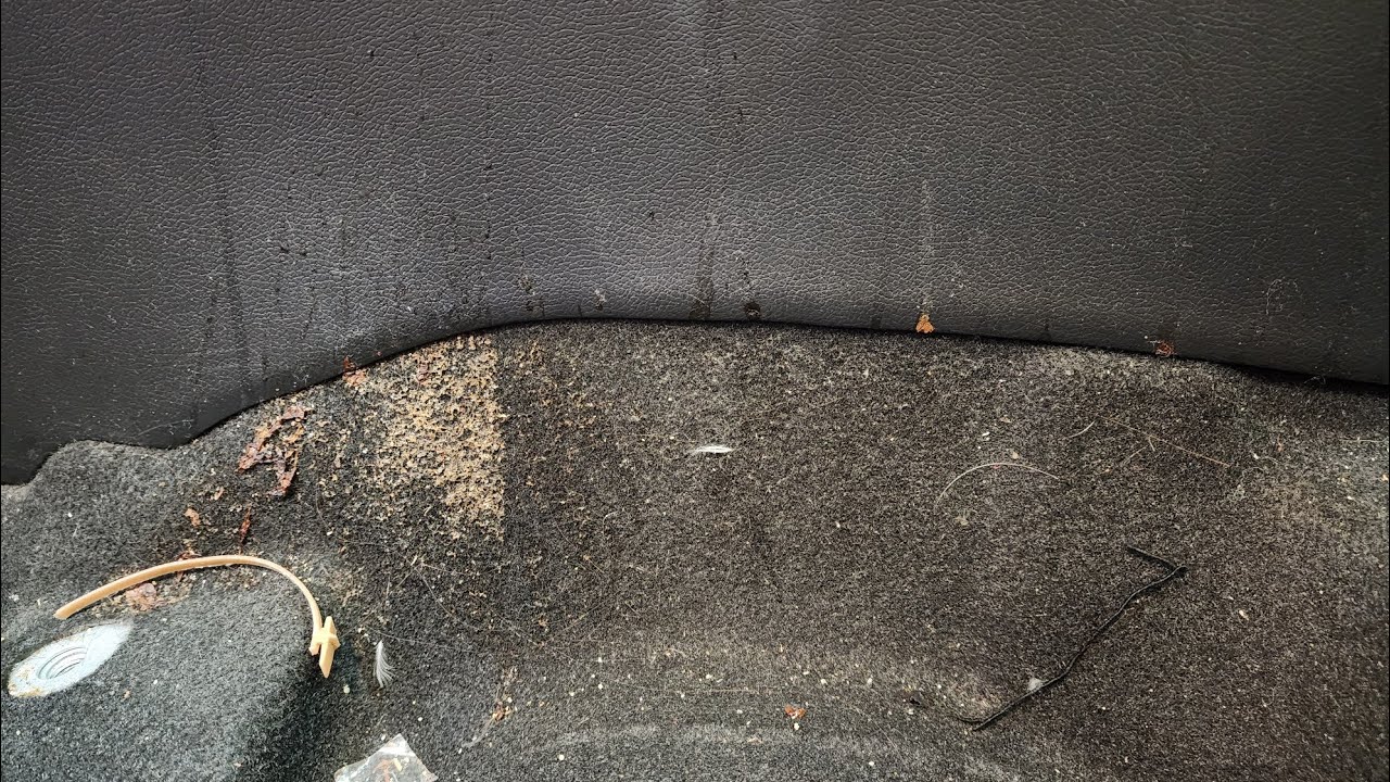 세차이야기 349편 지피카케어 구독자님께서 추천받아서 토탈스팀딥크리닝 패키지로 입고했습니다 실내크리닝특수실내크리닝자동차냄새제거 바른양심 디테일링샵권테크 특수