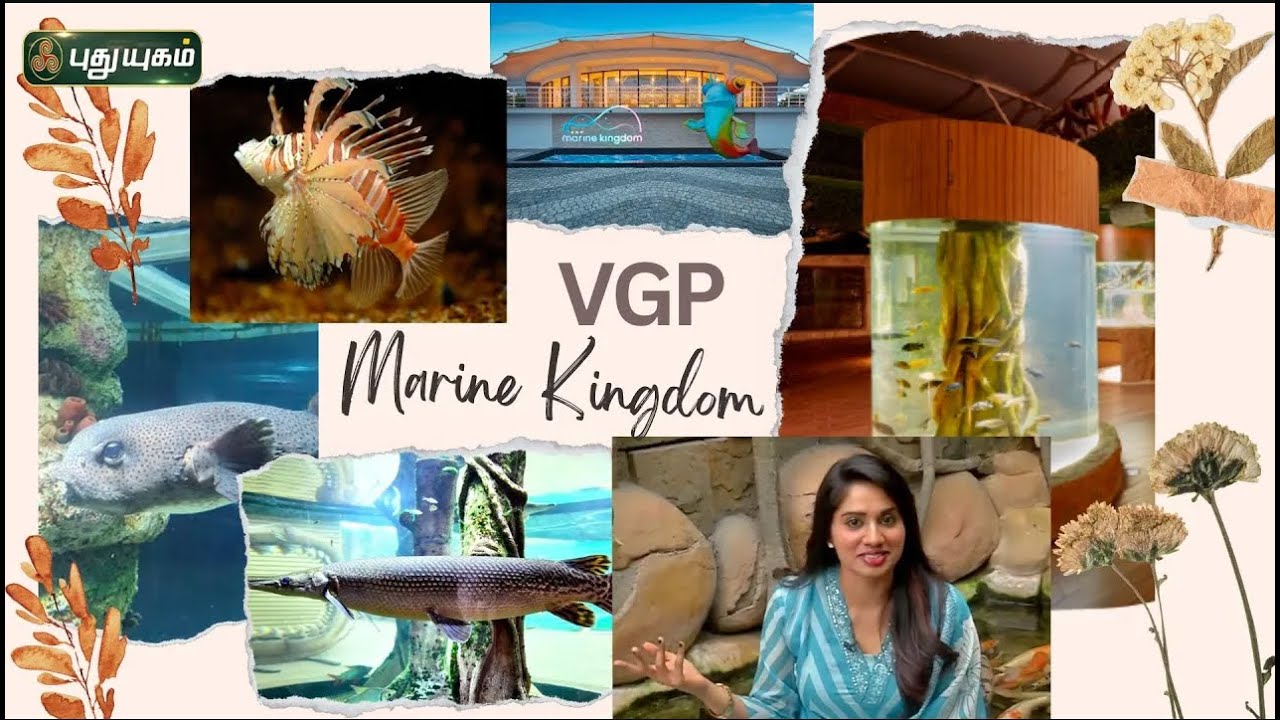 VGP Marine Kingdom Chennai 🐬 - India's 1st Underwater Aquarium ...