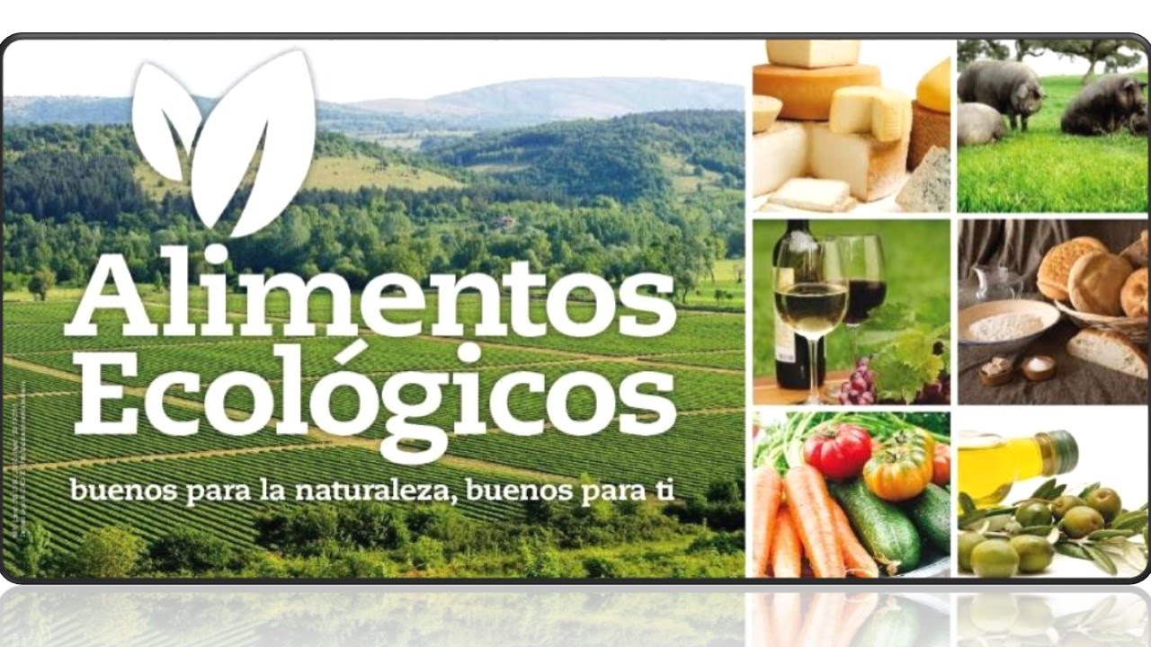 10 RAZONES PARA CONSUMIR ALIMENTOS ECOLÓGICOS - YouTube