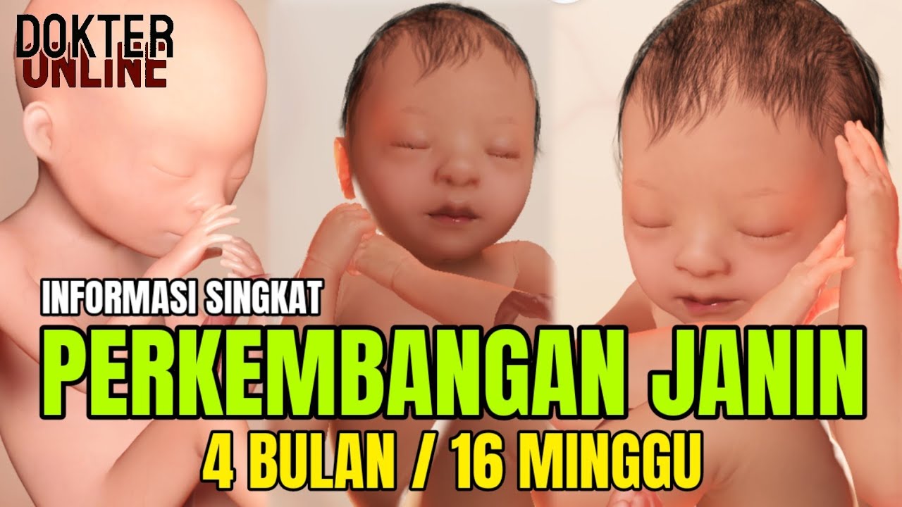 JANIN 4 BULAN - USIA KEHAMILAN 16 MINGGU DALAM KANDUNGAN - YouTube