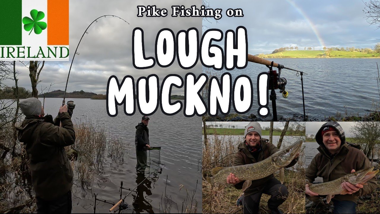 Lough Muckno Pike Fishing | Dead Baiting in Ireland | Stephen McGarvey ...