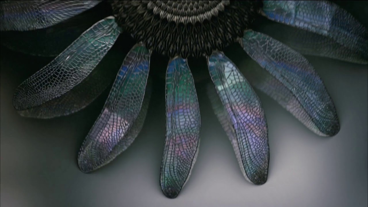 THX: Amazing Life (2007) [HD | 1080p] - YouTube