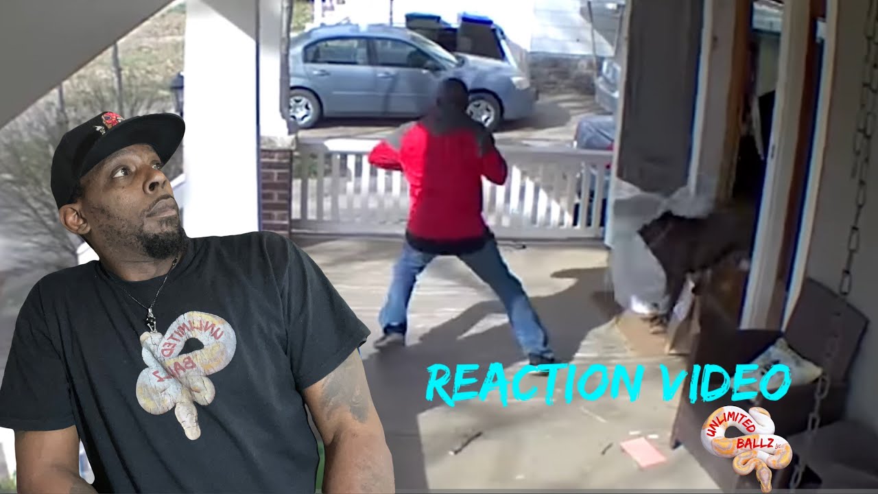 Reaction Video (Damn Nature You Crazy | Insane Animal Fails) - YouTube