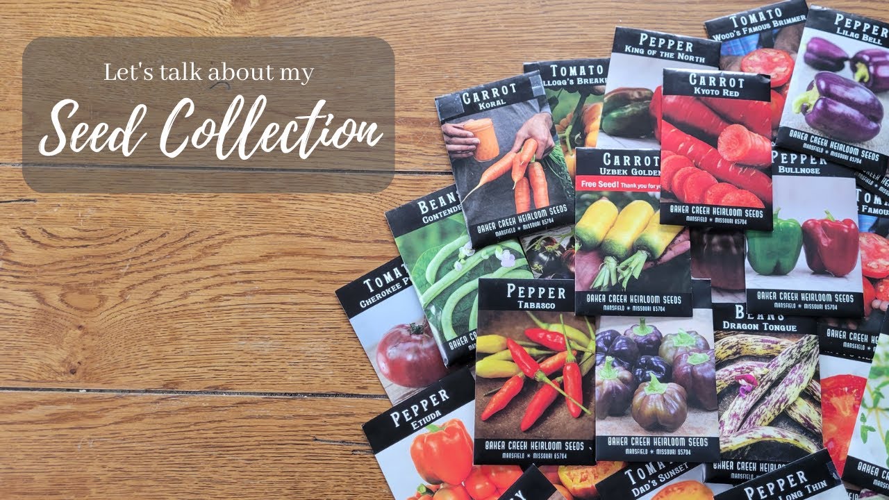 Let's Talk About My Seed Collection - YouTube