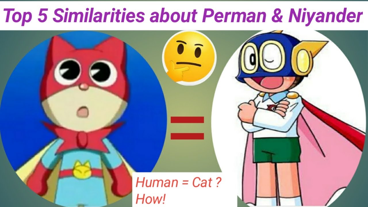 Perman || Top 5 Similarities about Perman & Niyander Cat (Hindi ...