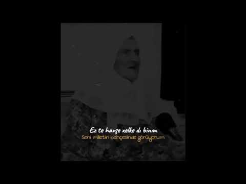 Yaşlı Nene Ağıt Klam Dengbej