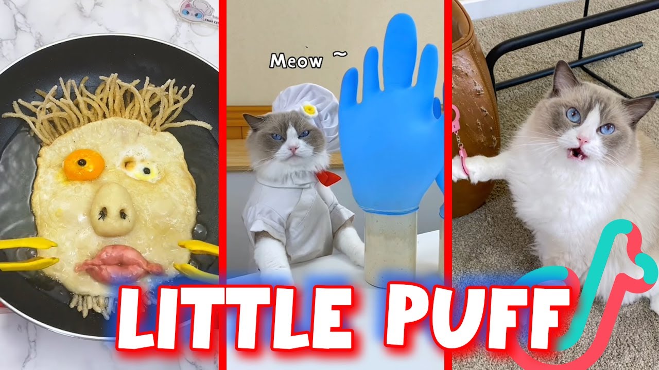 That Little Puff | COMEDY TIKTOK | OCTOBER 2024 - YouTube