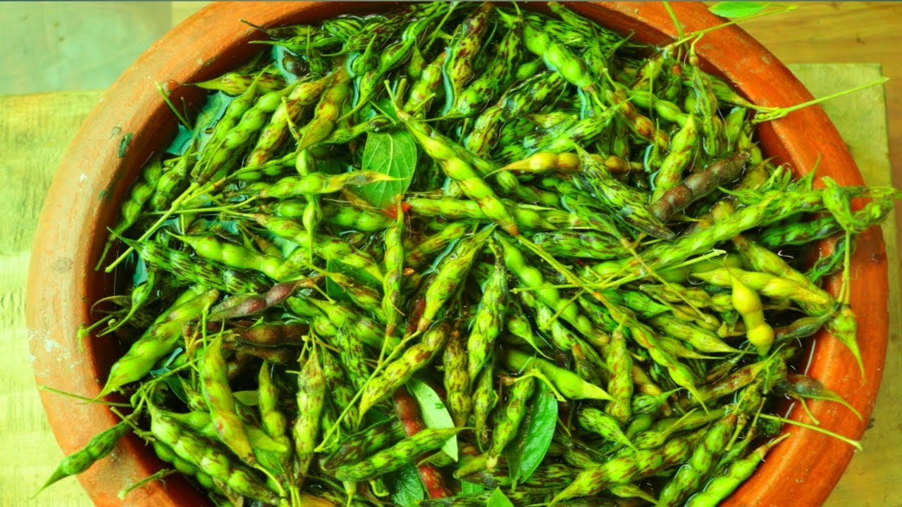 Arhar/tuvar boiled recipe village style 😋😋 - YouTube
