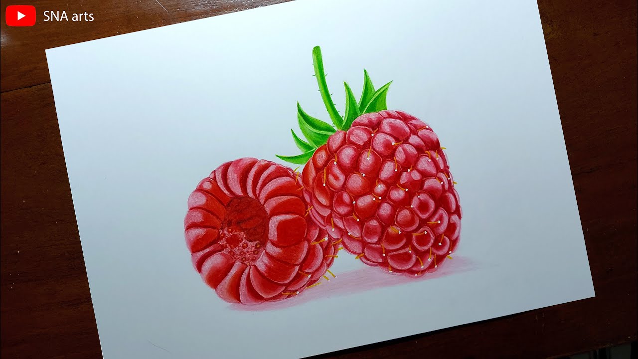 Drawing Raspberries With Color Pencils || Derwent Lightfast - YouTube