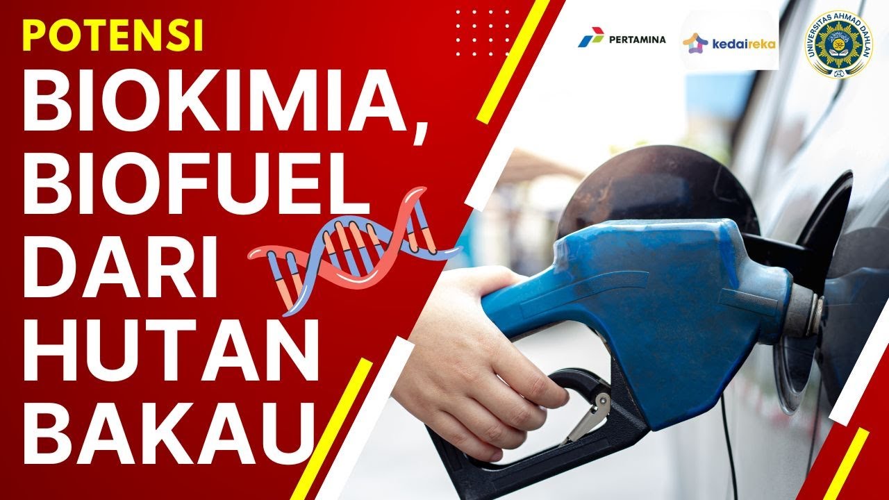 Potensi Biofuel dan Biokimia dari Hutan Bakau Indonesia - YouTube