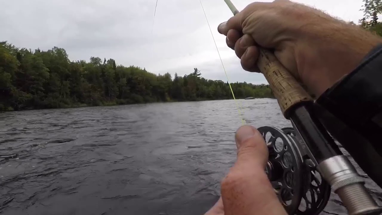 Fly Fishing Maine Trout and Salmon - YouTube