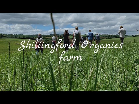 Shillingford Organics Farm - YouTube