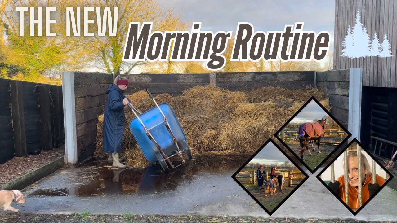 Morning Routine On The Farm - Were Back For 2025! - YouTube