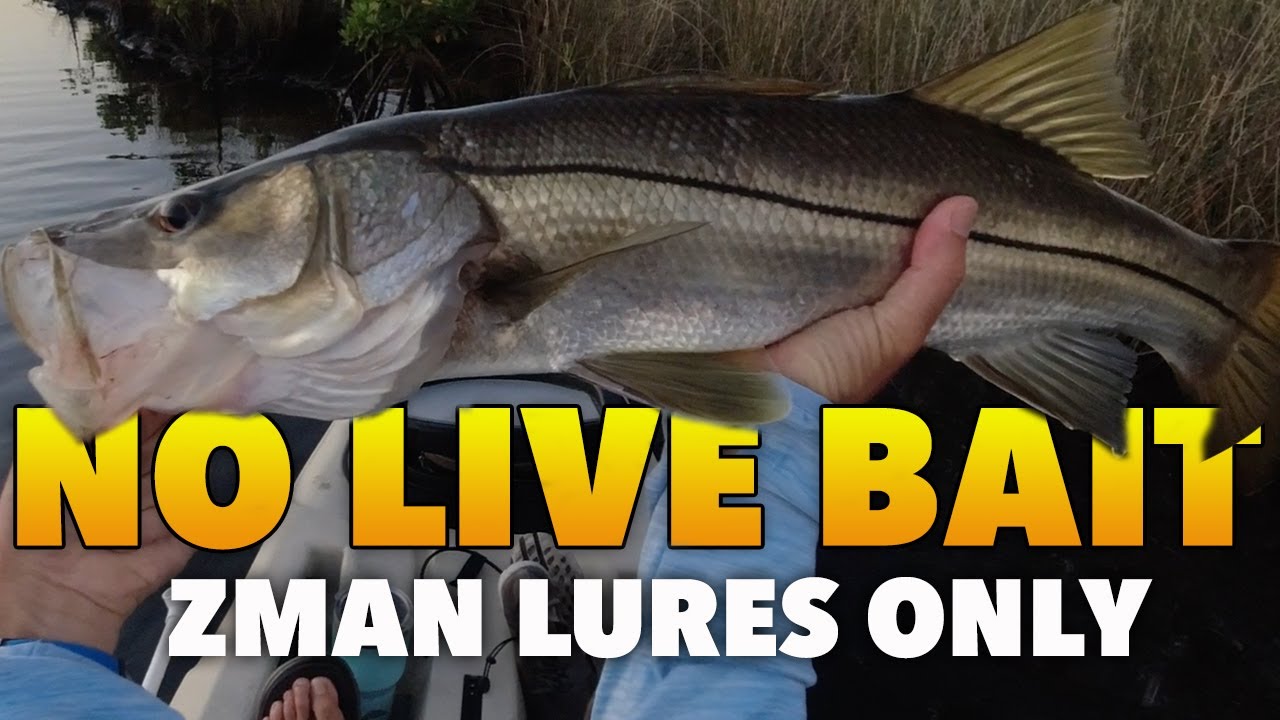NO LIVE BAIT NEEDED | ZMAN LURES ONLY #zmanfishingproducts - YouTube