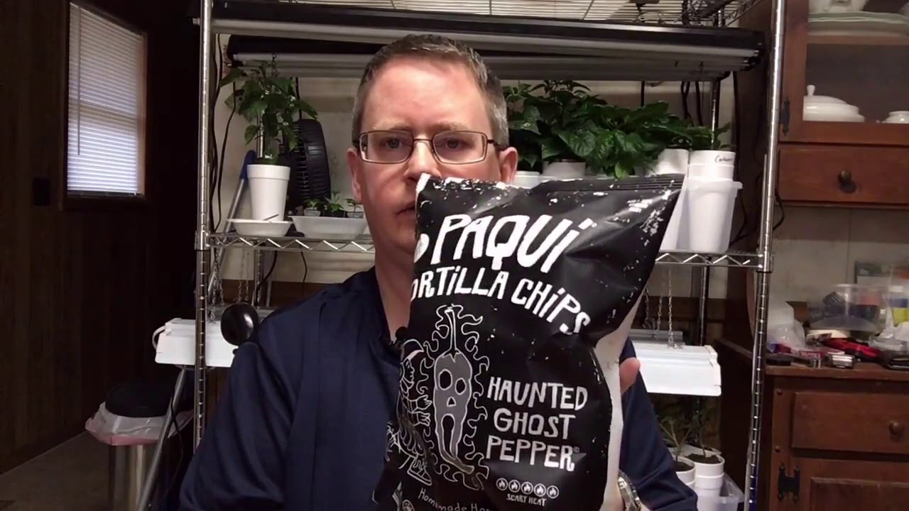 Paqui Tortilla Chips - Haunted Ghost Pepper Review - YouTube