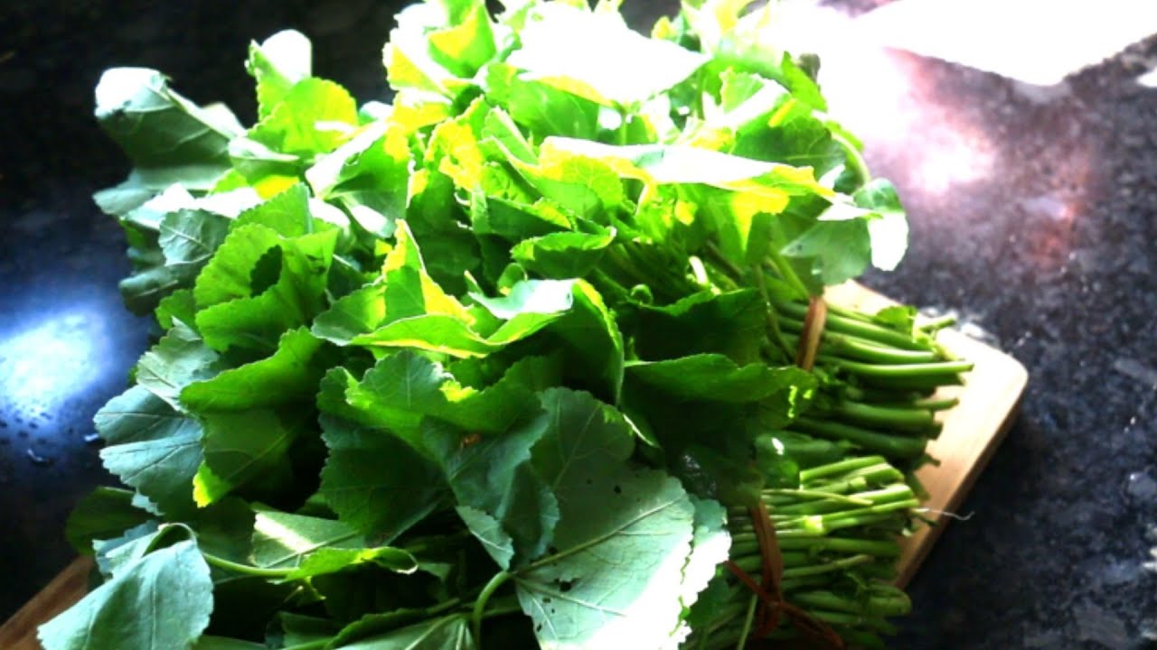 Lafa saag curry with dry fish/Malva,Mallow recipe. - YouTube