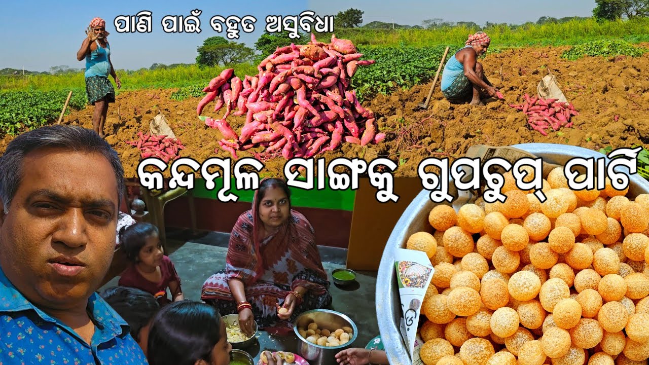 ପାଣି ପାଇଁ କେତେ ଅସୁବିଧା l ସନ୍ଧ୍ୟା ଗୁପଚୁପ୍ ପାର୍ଟି 😋 l Gupchup l Kandamula ...