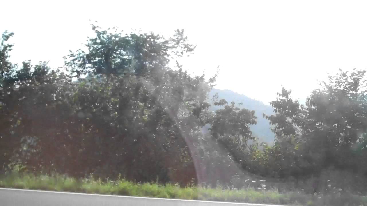 Team Crayola Ramshackle Rally - Beautiful Austria spoilt by Justin's ...