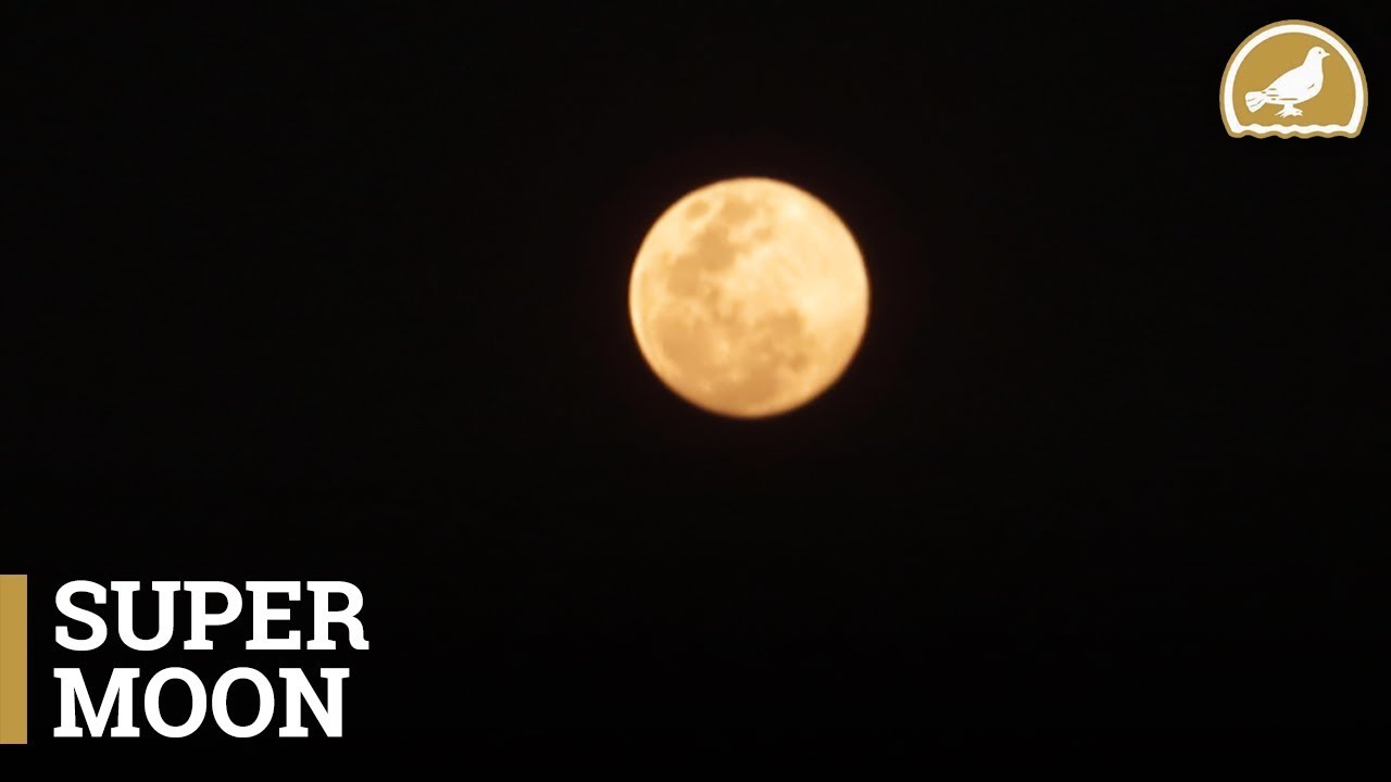 Glimpse of Super Warm Moon - YouTube