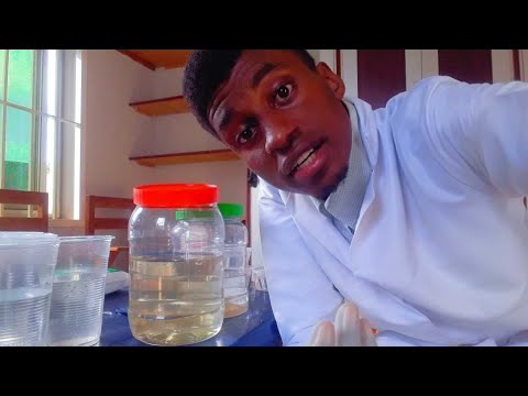 My water treatment experiment for the bachelor projrect - YouTube