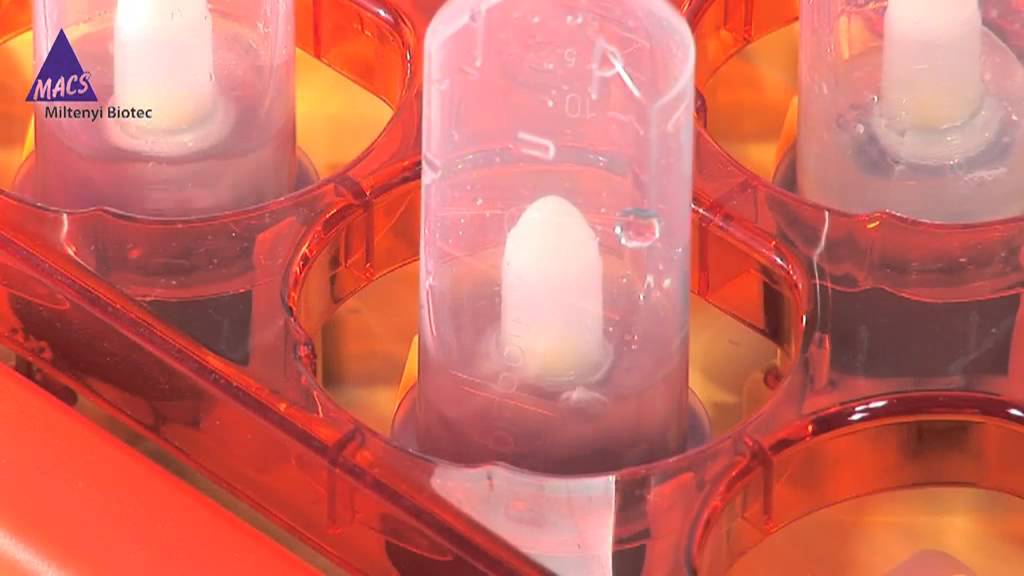 GentleMACS™ Dissociator from Miltenyi Biotec - YouTube