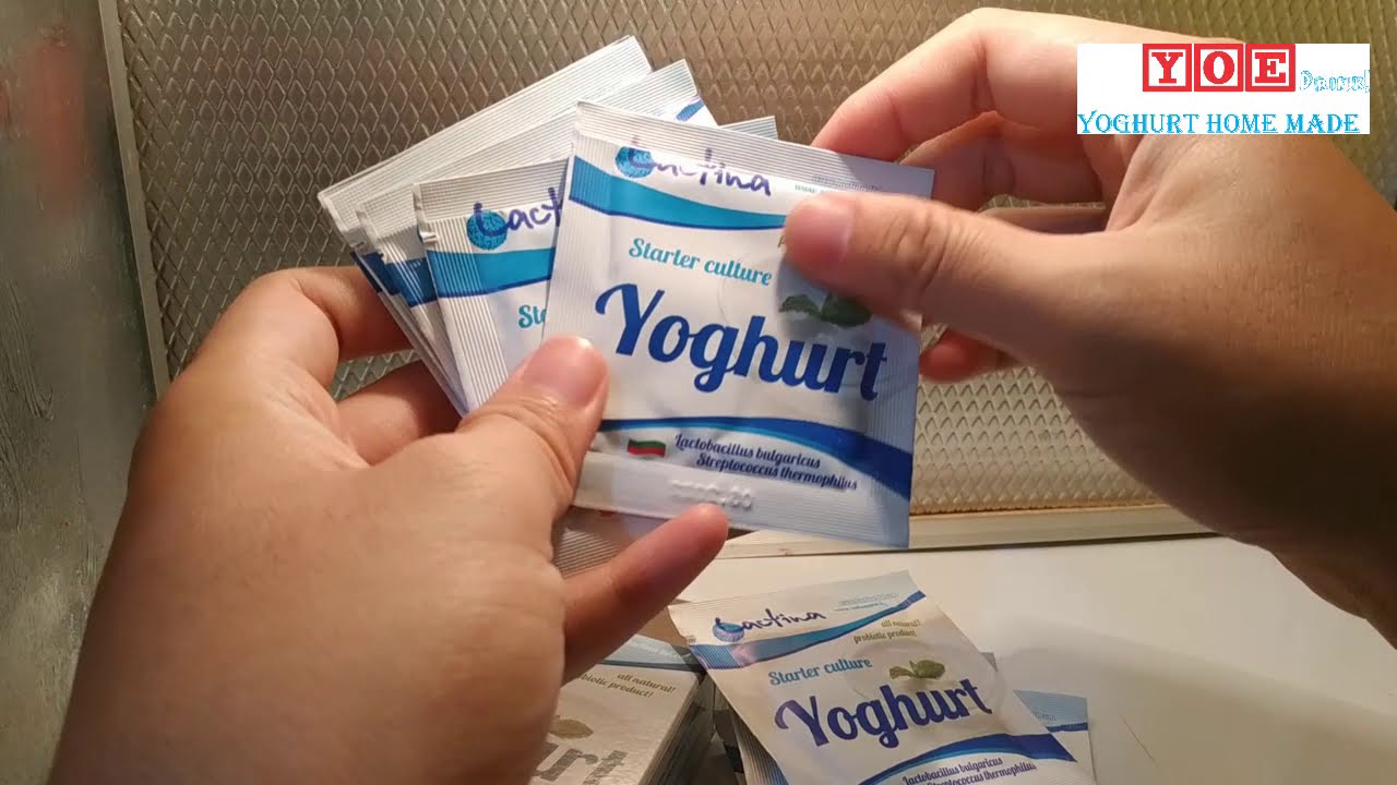 #YOGHURT BIBIT YOGHURT ASLI LACTOBACILLUS BULGARICUS - YouTube
