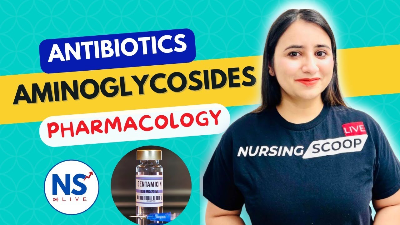 Antibiotics Pharmacology | How do Antibiotics work | Aminoglycosides ...