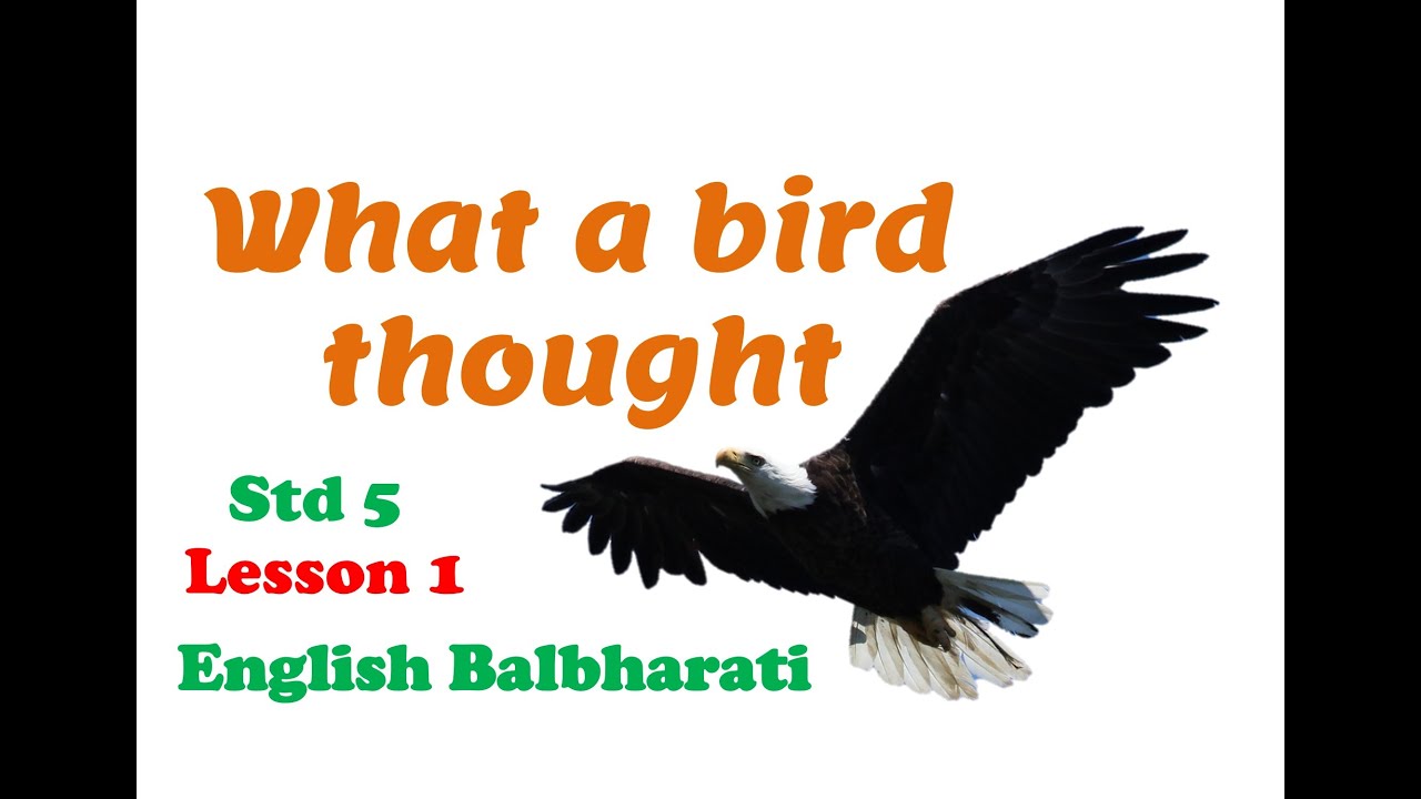 What A Bird Thought Poem In English Of 5th Standard English Balbharti what-a-bird-thought-poem-in-english-of-5th-standard-english-balbharti