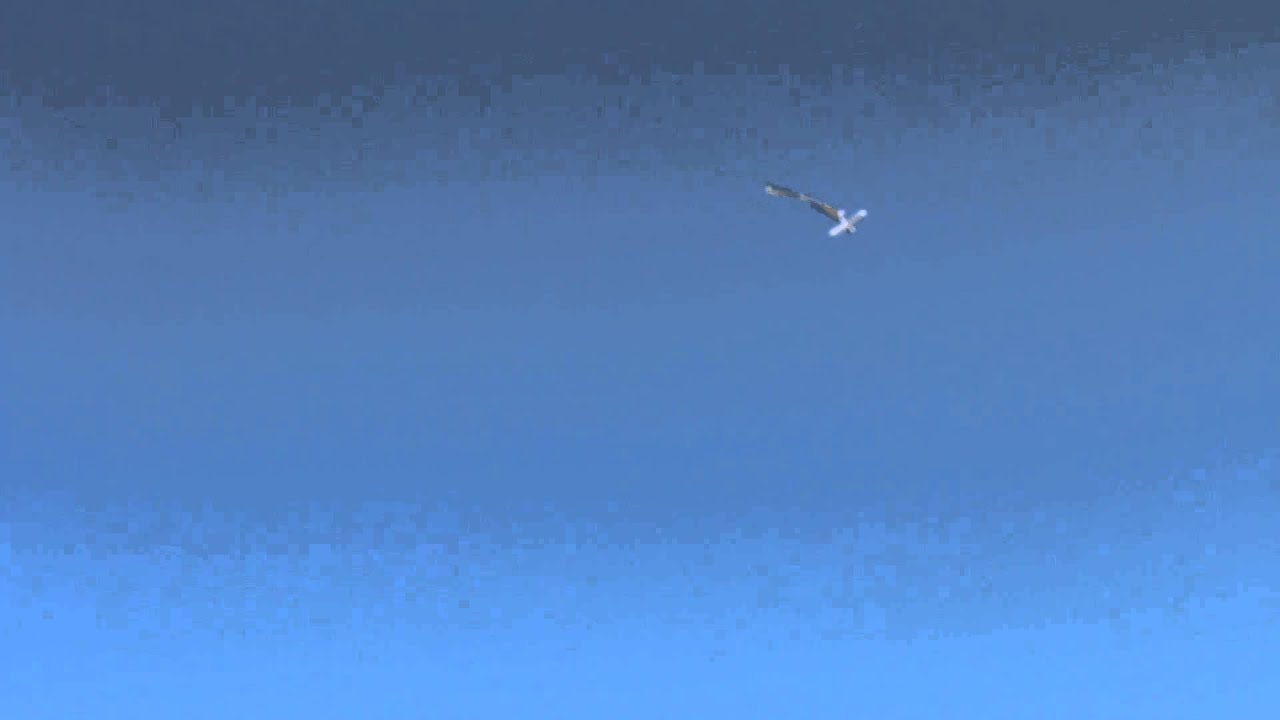 FPV of RC - Streamer Battle - Challenge - YouTube