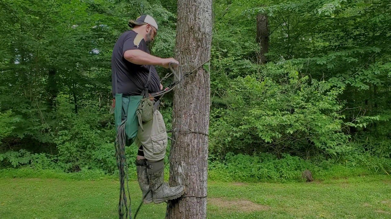 Old Guy Climbing A Tree With the H2 Saddle & Wild Edge Steppes After ...