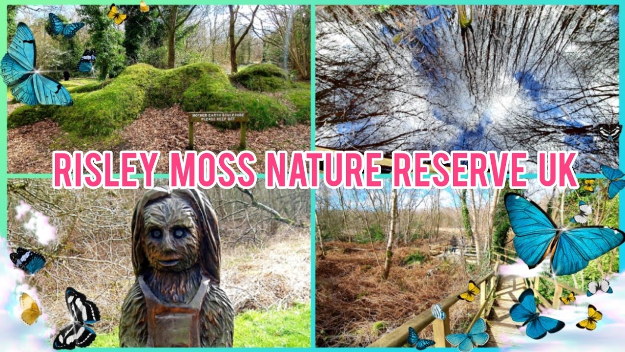 #150vlog | Risley Moss - Mersey Forest, Warrington, uk | part 1 - YouTube