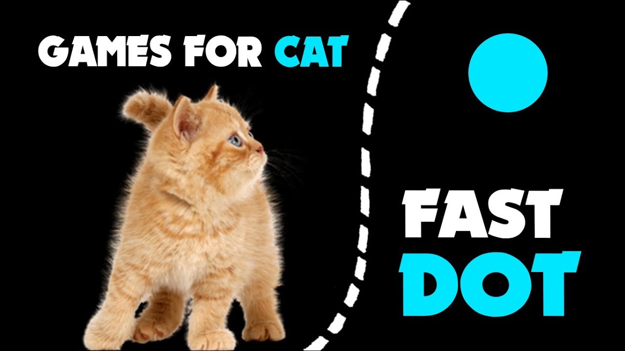 CAT GAMES ★ FAST DOT HUNT on screen - YouTube