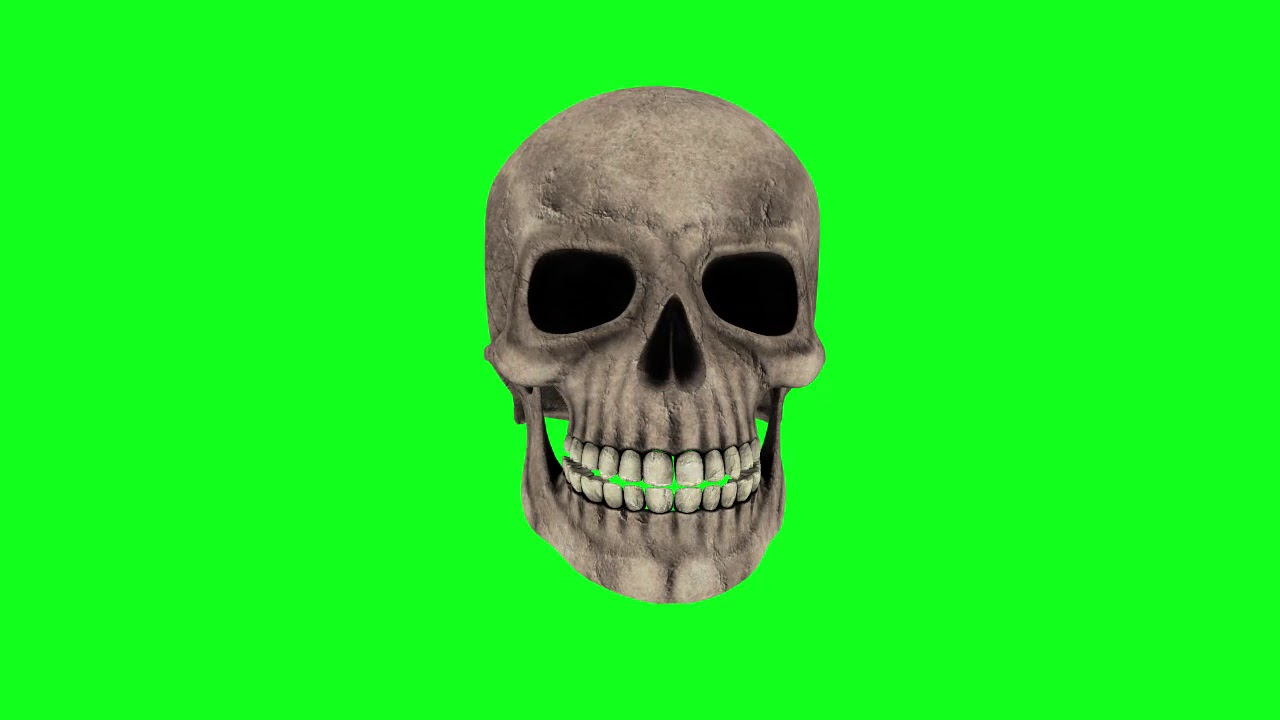 3D SKULL GREEN SCREEN 4K 1080P FREE ROYAL ANIMATED MOTION VIDEO STOCK ...