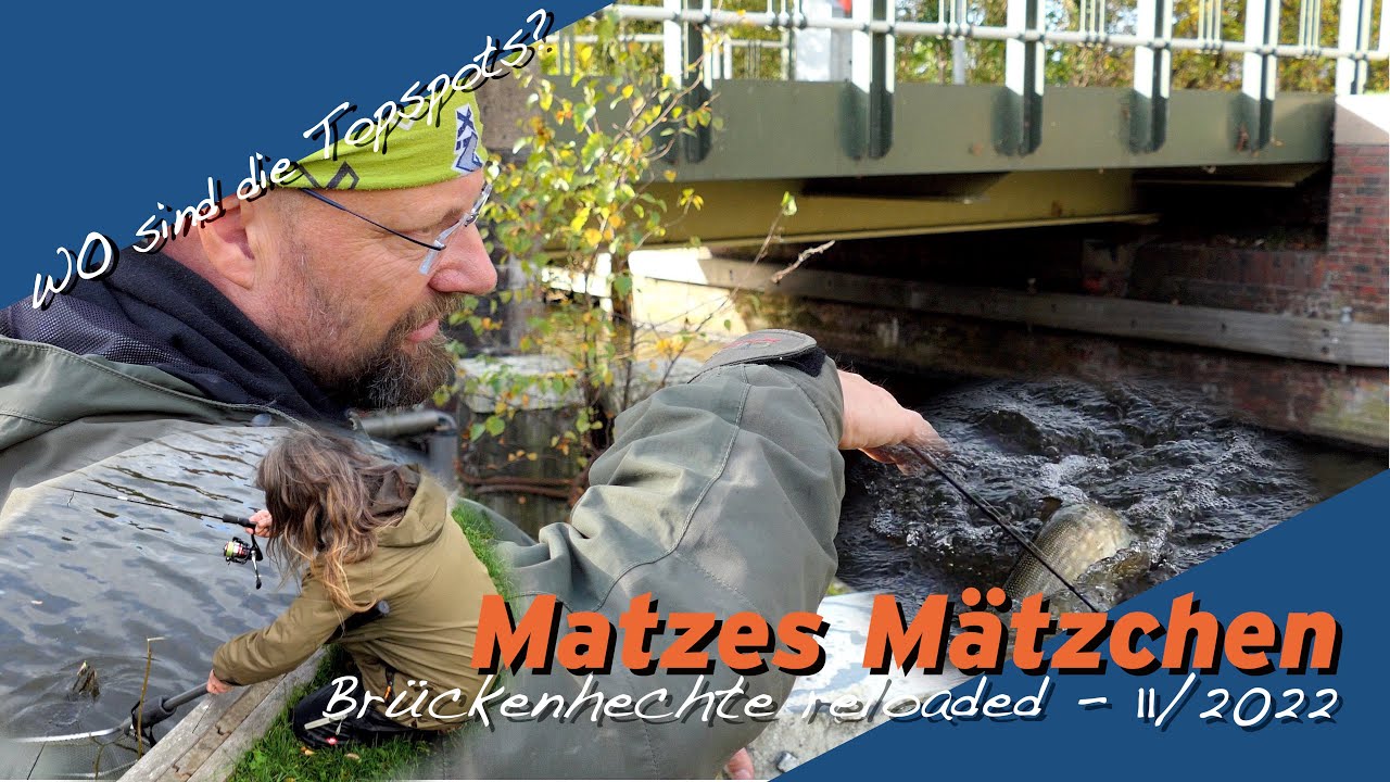 Matze Koch: Angeln auf Brückenhechte - Matzes Mätzchen 11-2022 - YouTube
