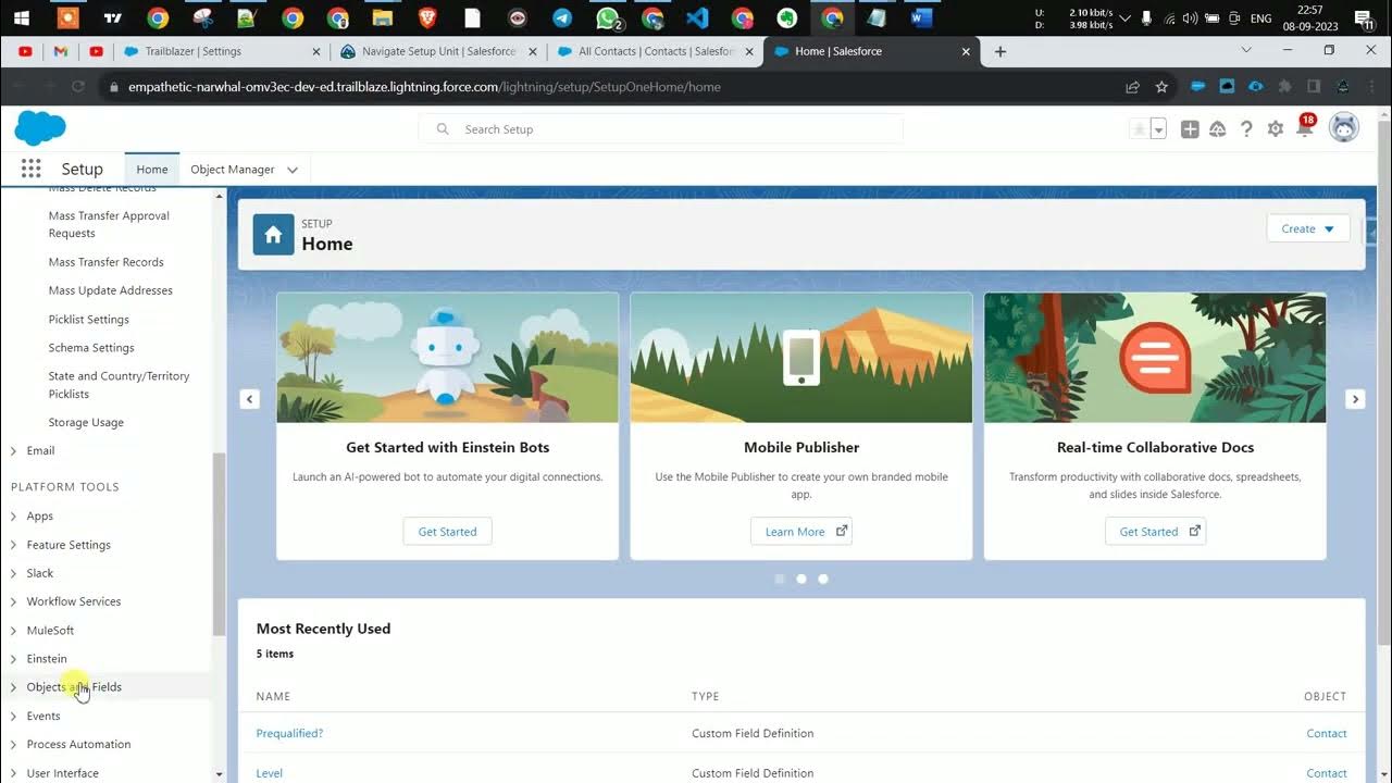 Trailhead Trail # Admin Beginner Module# Salesforce Platform Basics 4 # Navigate Setup - YouTube